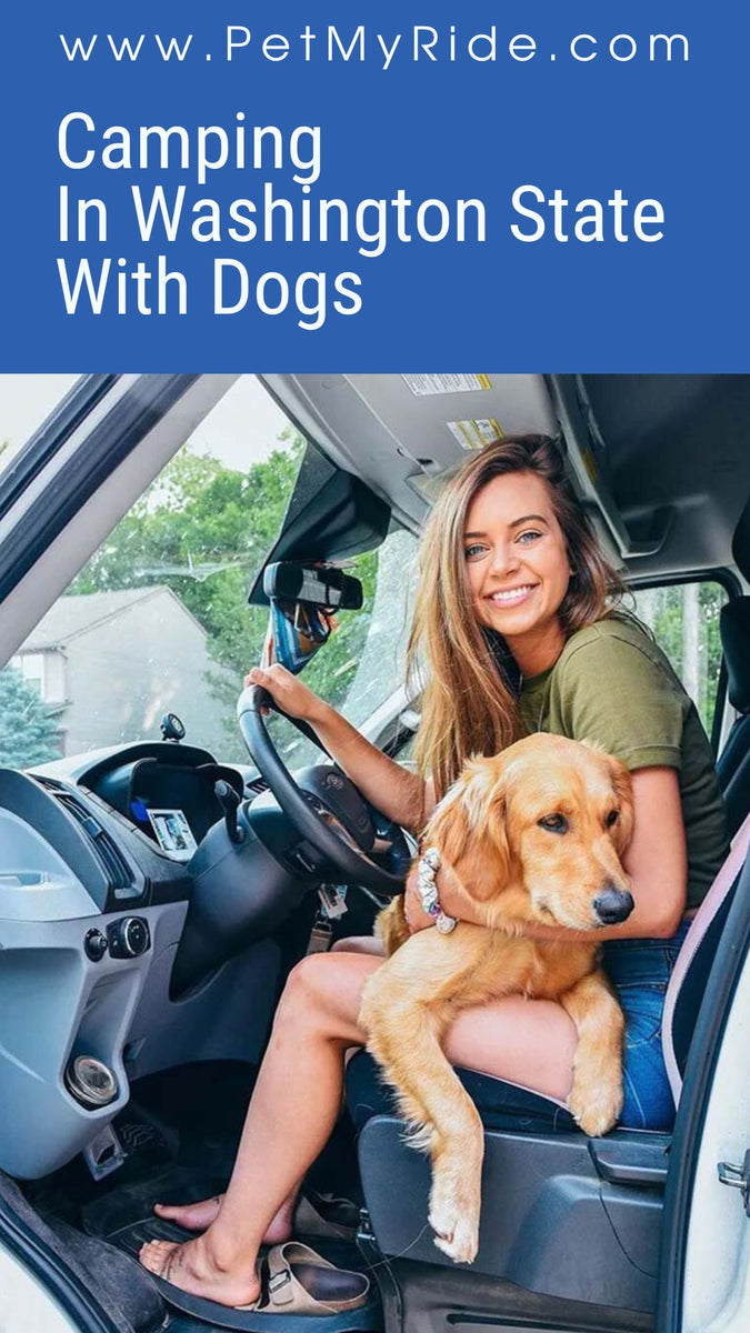 Camping In Washington State With Dogs by Rachel Akinyi